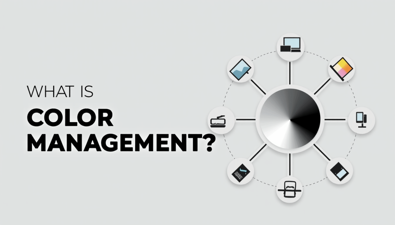 What Is Colour Management? Ensuring Accurate Colour Representation in ...