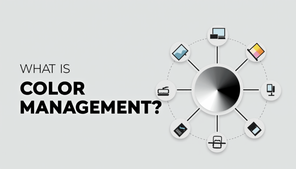 What Is Colour Management? Ensuring Accurate Colour Representation in ...
