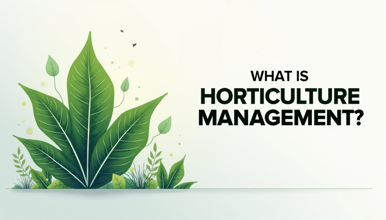 What Is Horticulture Management? Overseeing Gardens & Greenhouses for ...